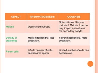 Biology form 5 process of oogenesis | PPT