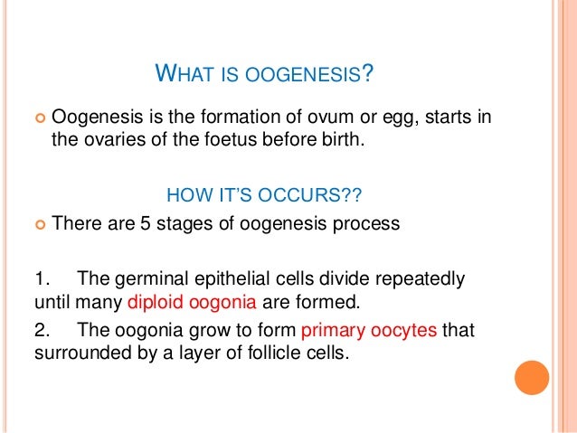 Biology form 5 process of oogenesis
