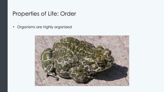 BiologyforMajors_01_IntroductiontoBiology.pptx