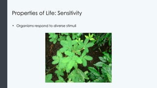 BiologyforMajors_01_IntroductiontoBiology.pptx