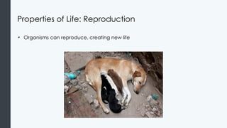 BiologyforMajors_01_IntroductiontoBiology.pptx