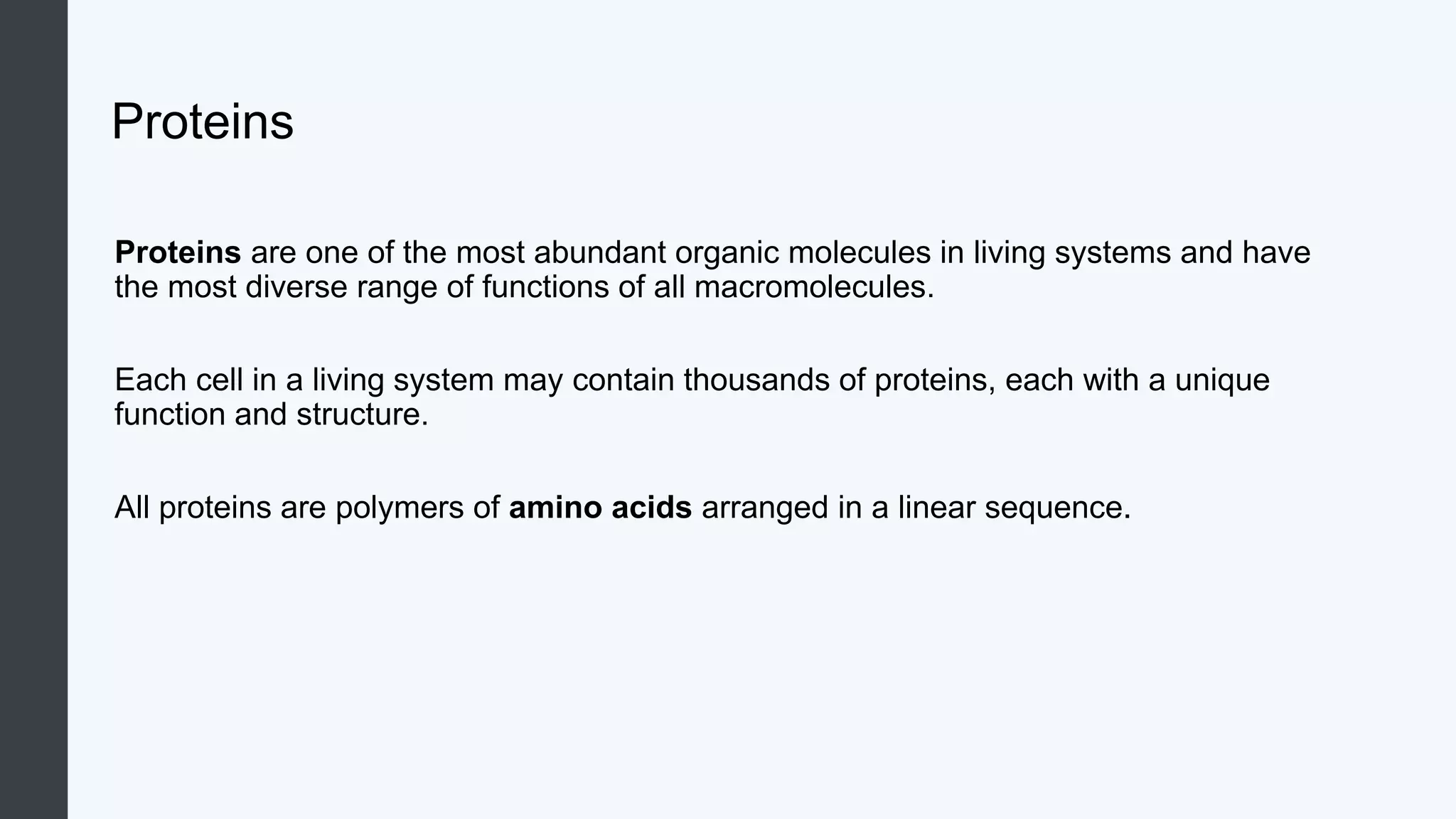 Biology for Majors, Macromolecules | PPTX