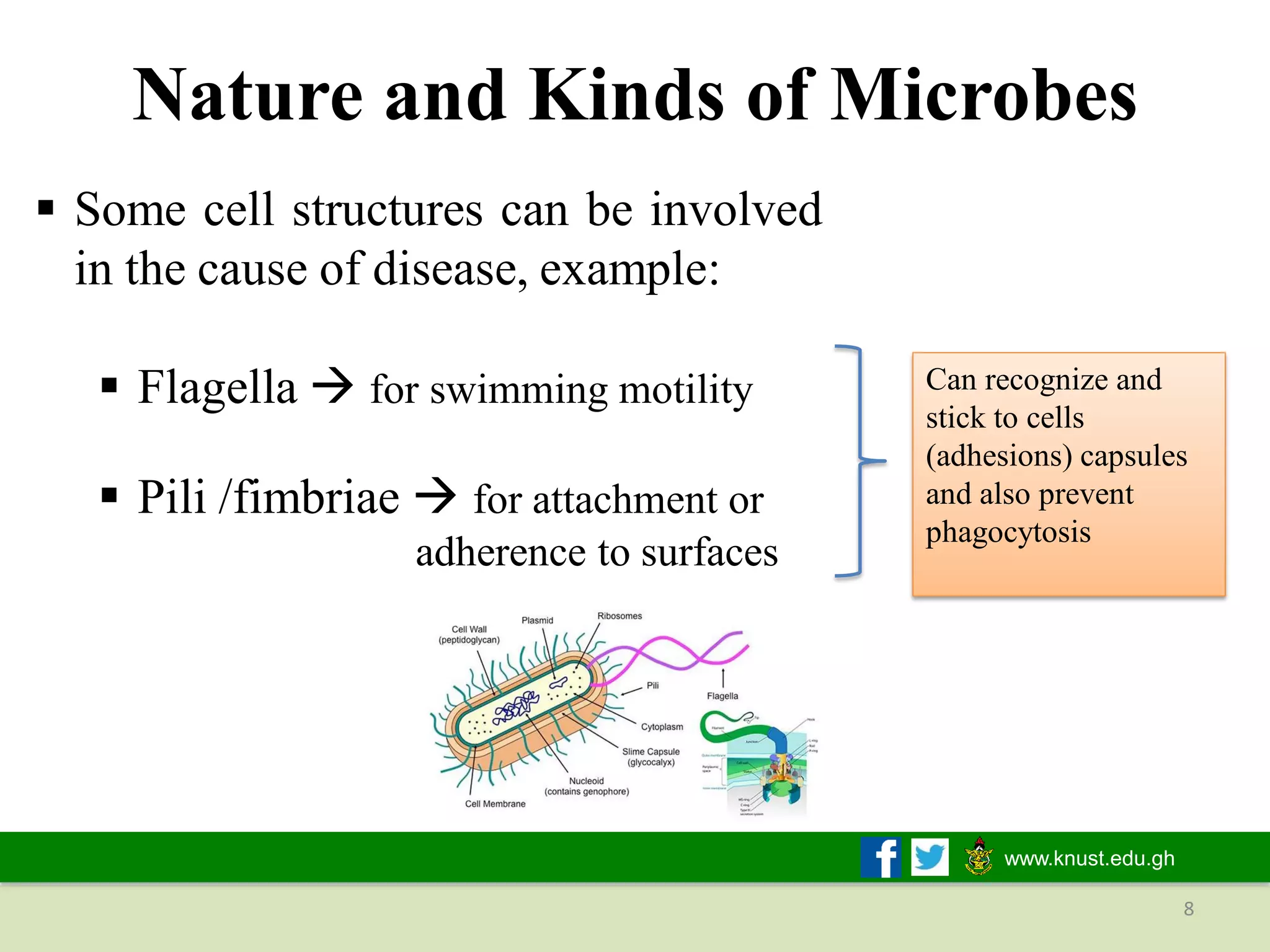 Biology for mathematics microbiology and epidemiology biol 181_22022021 ...