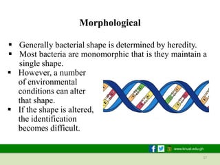 Biology for mathematics microbiology and epidemiology biol 181_22022021 ...