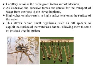Biology GradeTen Unit Three Short Note For Students | PPTX