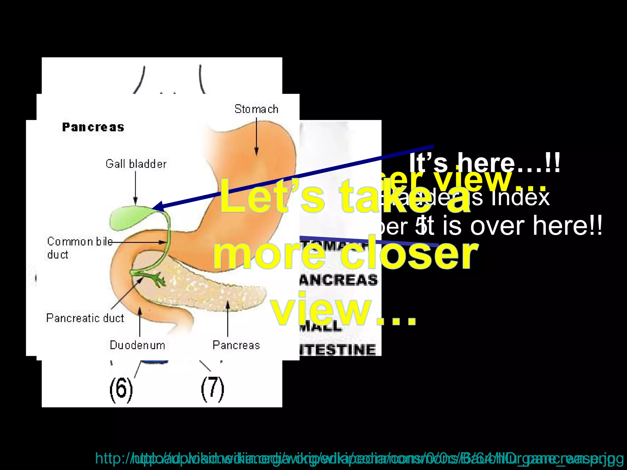Biology (Gall Bladder) | PPT