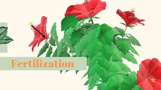 Flower and its parts 3D model PPT | PPTX