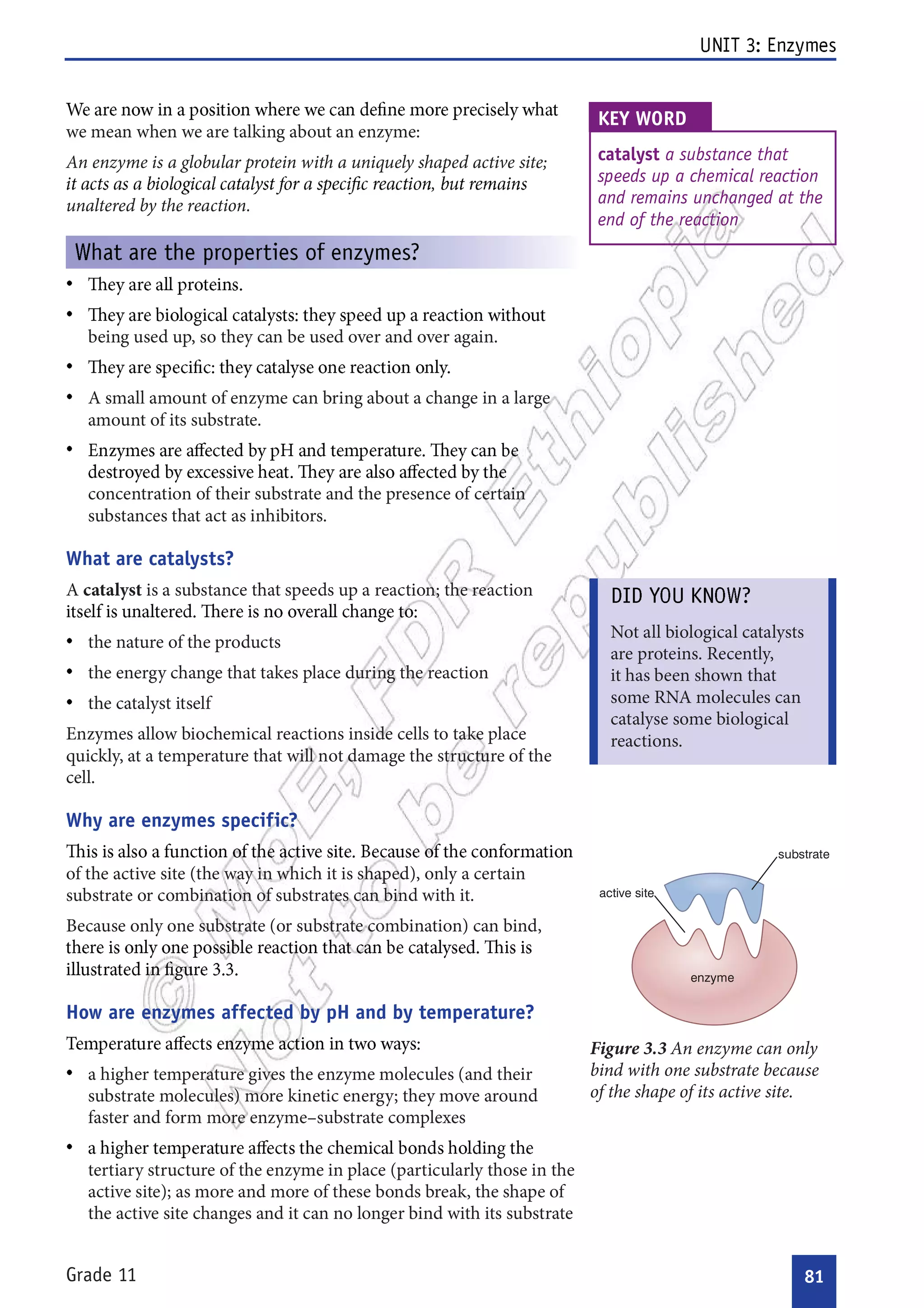 Biology grade 11 textbook | PDF