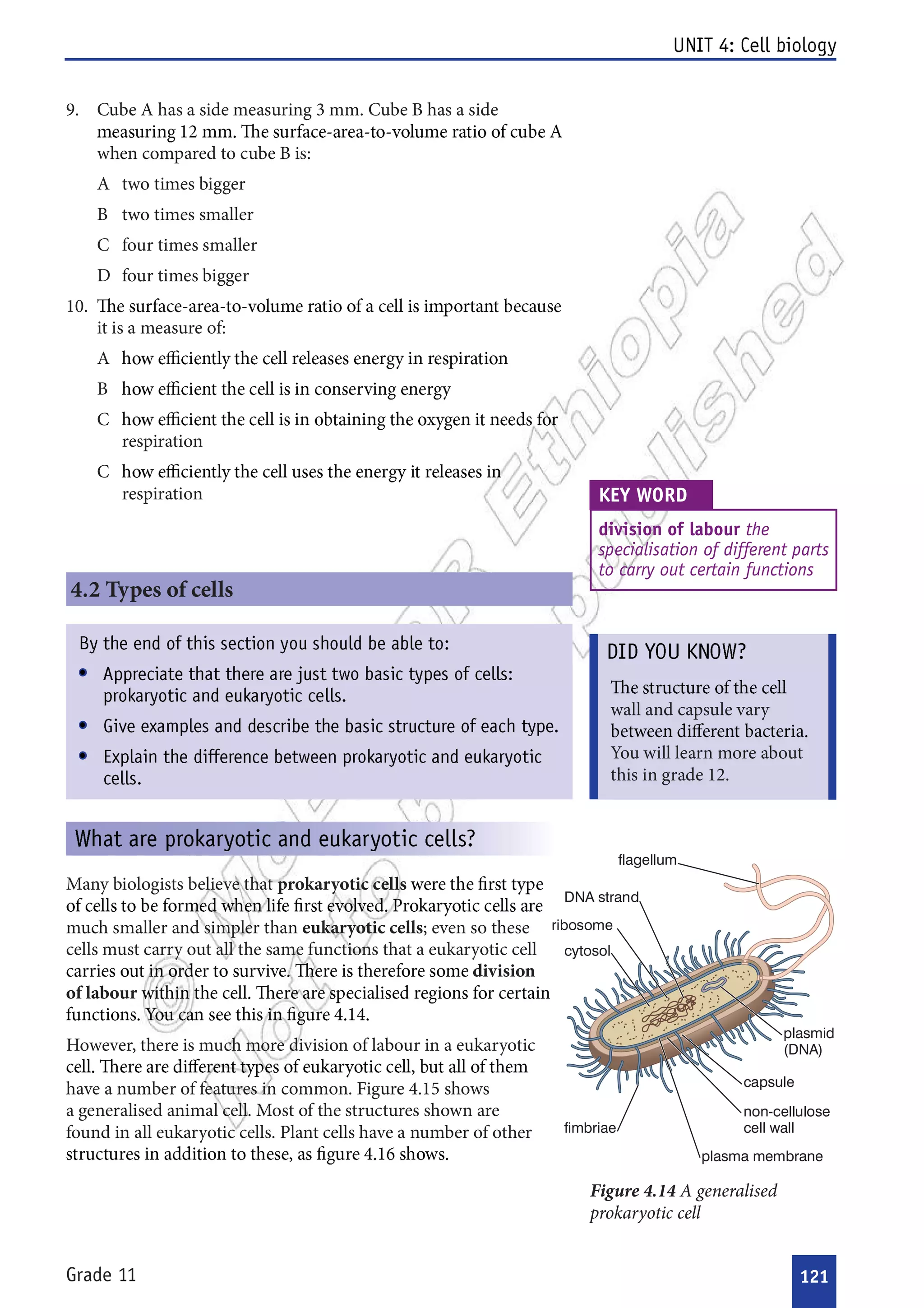 Biology Grade 11 Textbook Pdf