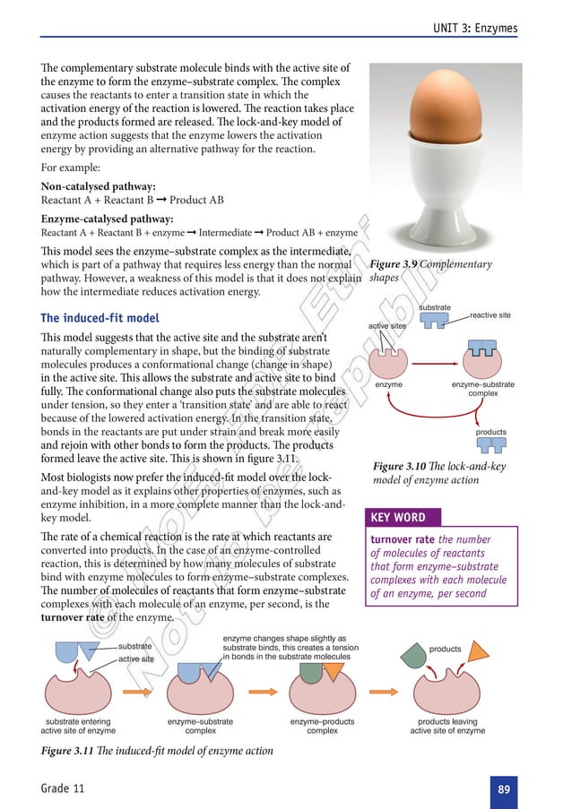 Biology grade 11 textbook | PDF