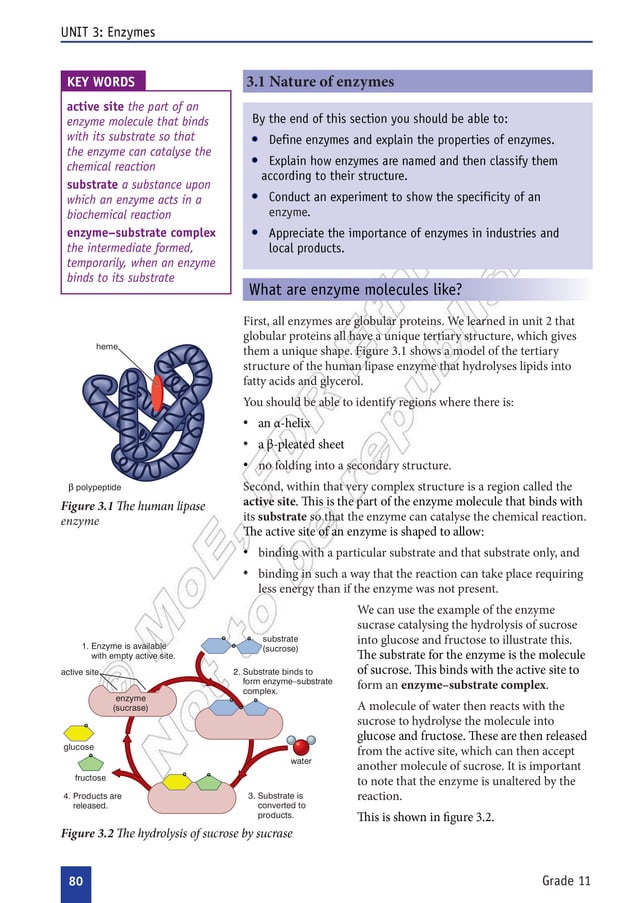 Biology grade 11 textbook | PDF