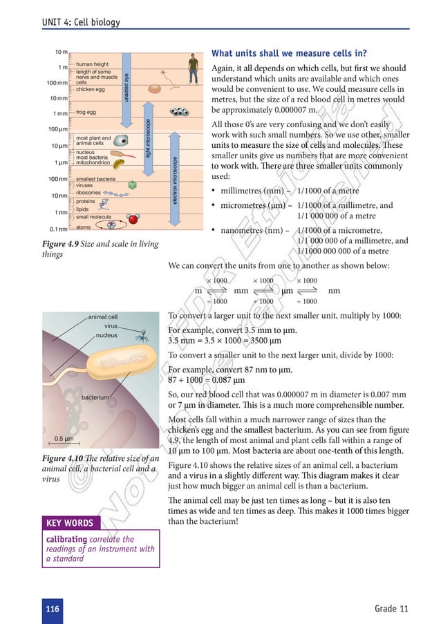 Biology grade 11 textbook | PDF