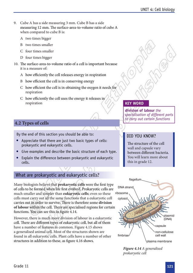 Biology grade 11 textbook | PDF