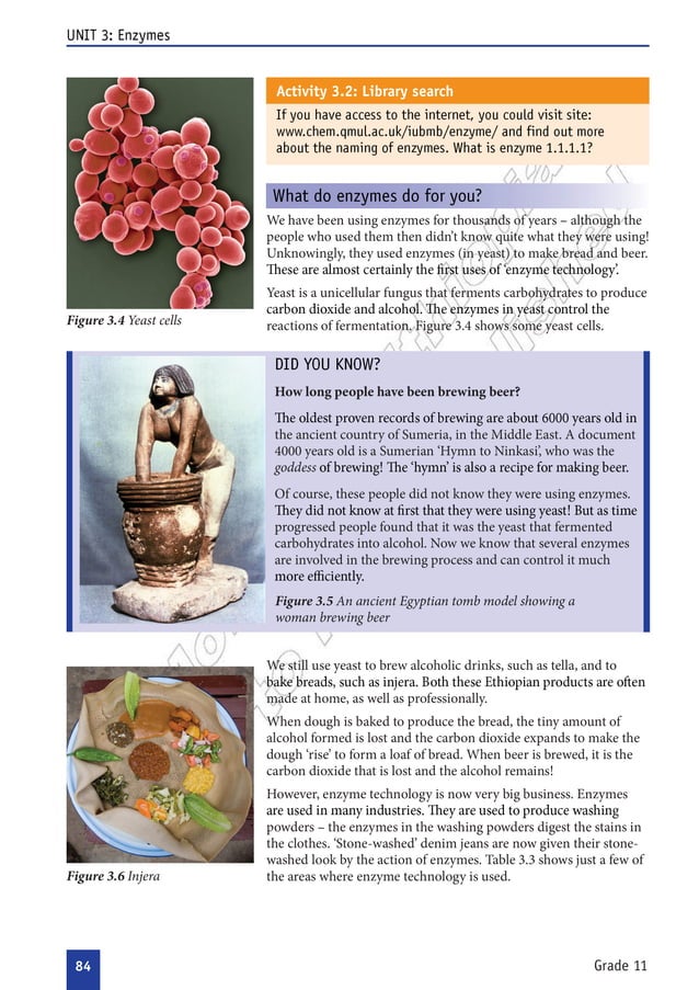 Biology grade 11 textbook | PDF