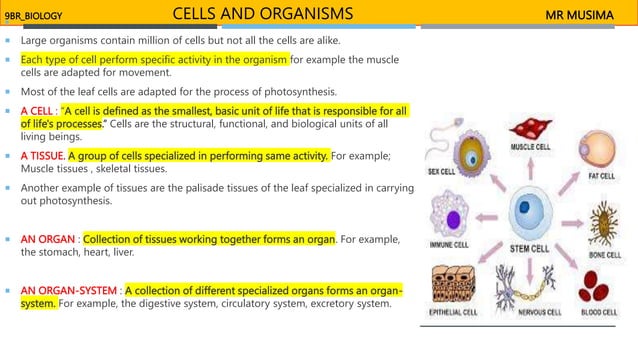 BIOLOGY GRADE 9BR _ CELLSJ_WEEK 6-7.pptx