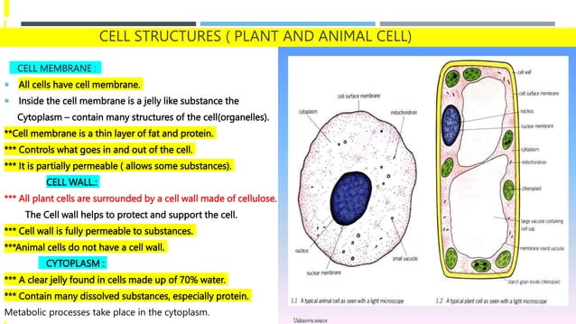 BIOLOGY GRADE 9BR _ CELLSJ_WEEK 6-7.pptx