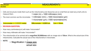 BIOLOGY GRADE 9BR _ CELLSJ_WEEK 6-7.pptx