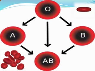 Blood Group Natural Selection | PPTX