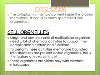 Biology holiday homework | PPTX
