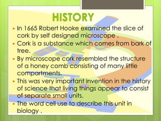 Biology holiday homework | PPTX