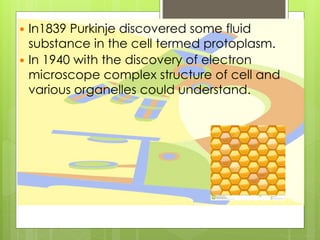 Biology holiday homework | PPTX