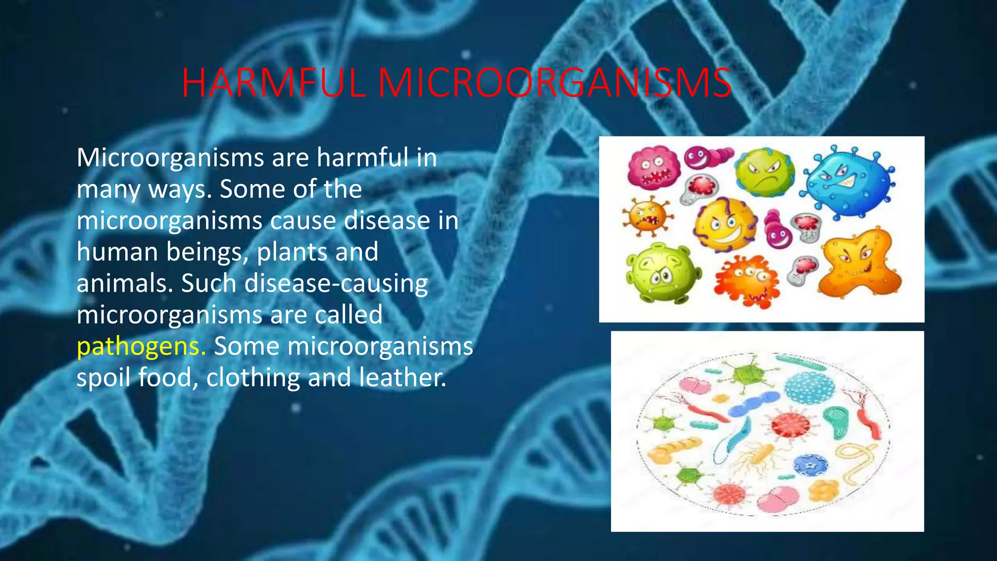 BIOLOGY HOLIDAY HOMEWORK.pptx