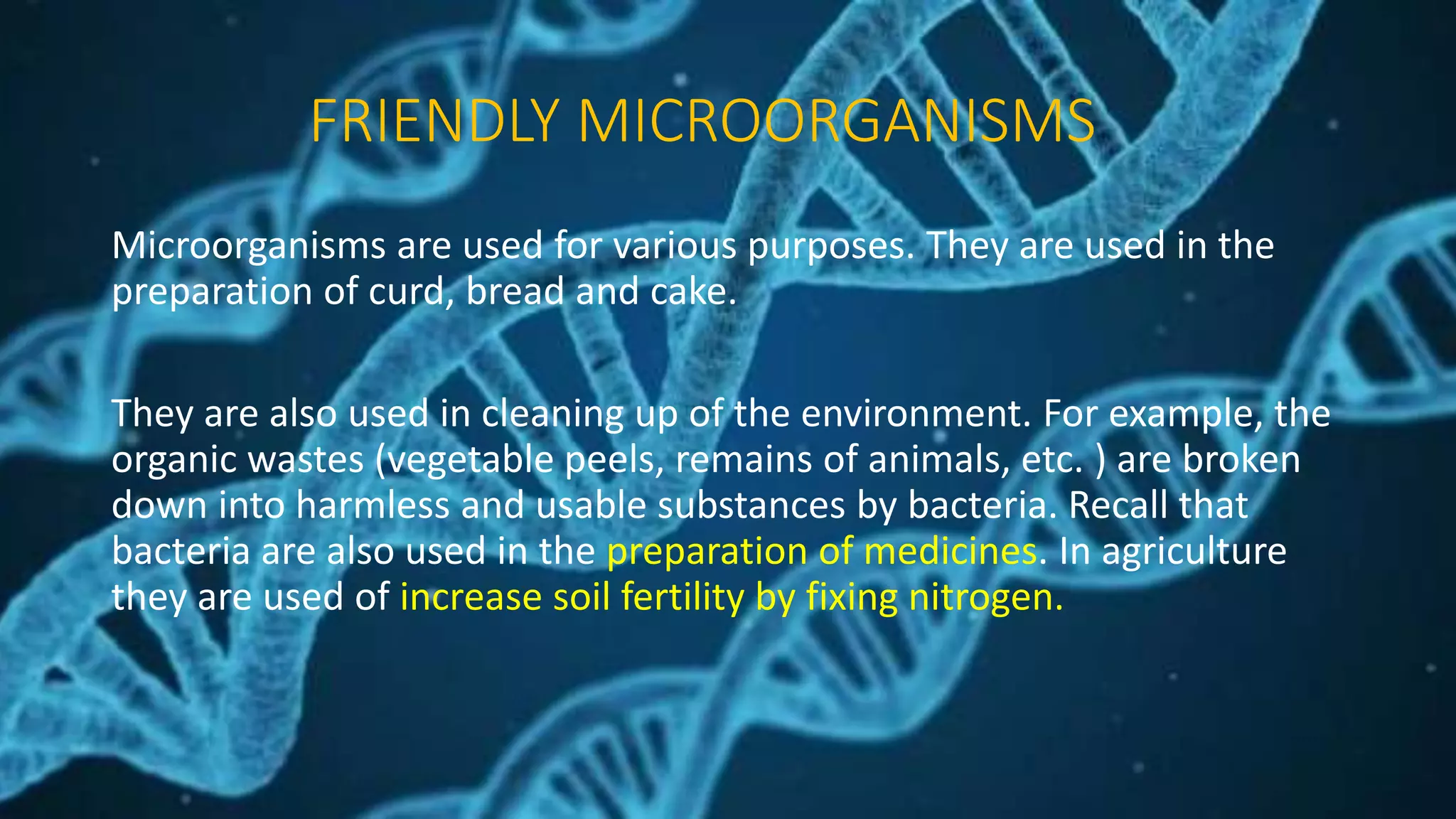 BIOLOGY HOLIDAY HOMEWORK.pptx