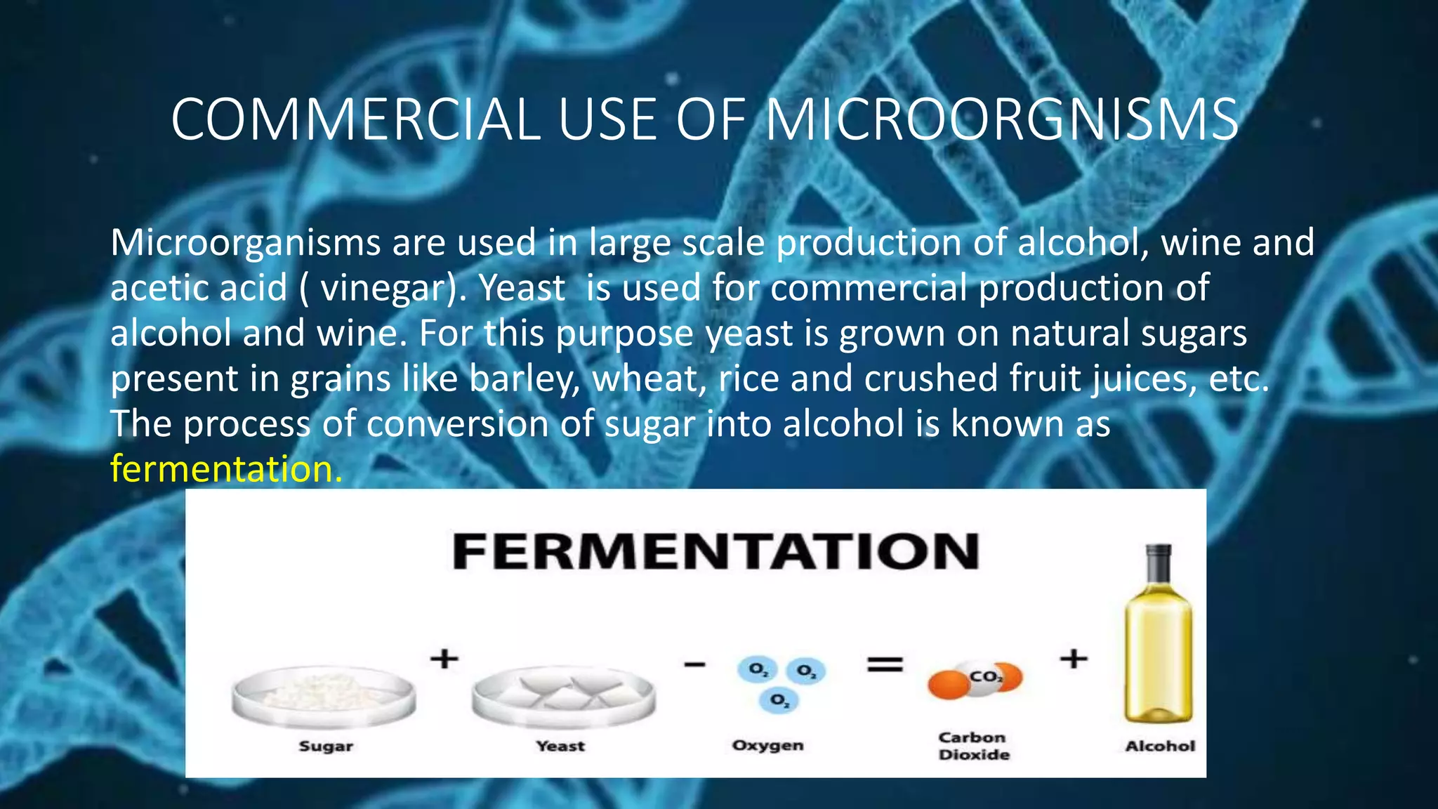 BIOLOGY HOLIDAY HOMEWORK.pptx