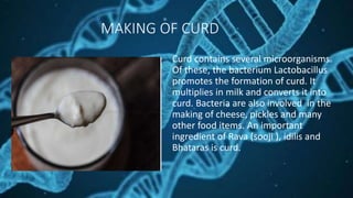 BIOLOGY HOLIDAY HOMEWORK.pptx