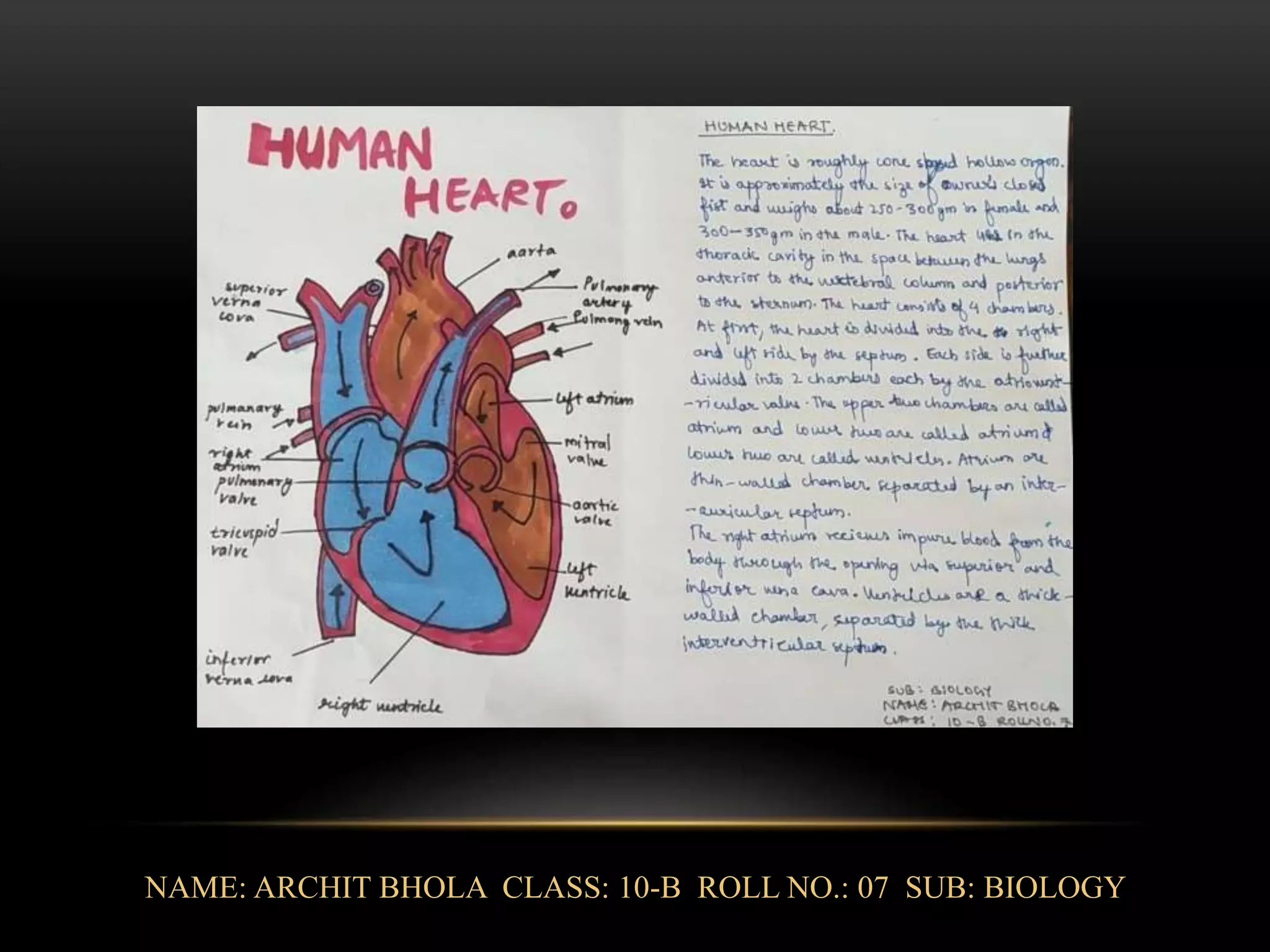 BIOLOGY HOLIDAY HOMEWORK.pptx
