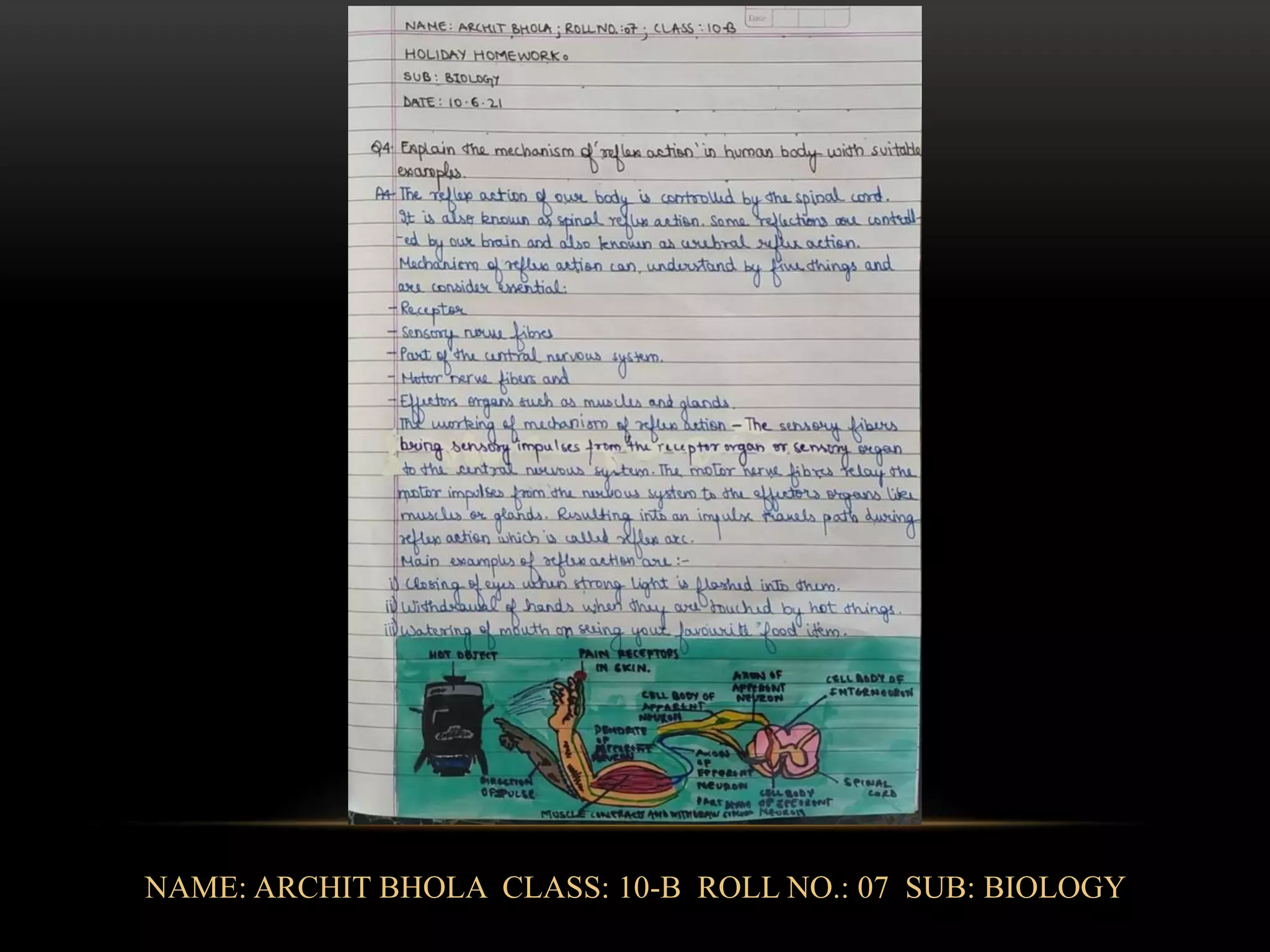 BIOLOGY HOLIDAY HOMEWORK.pptx