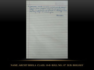 BIOLOGY HOLIDAY HOMEWORK.pptx