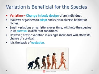 Biology_ How do organisms reproduce NCERT | PDF