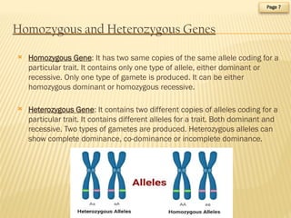 Choromosomal Theory of Inheritance in Homo Sapiens | PPTX | Genetics ...