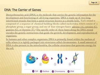 Choromosomal Theory of Inheritance in Homo Sapiens | PPTX | Genetics ...