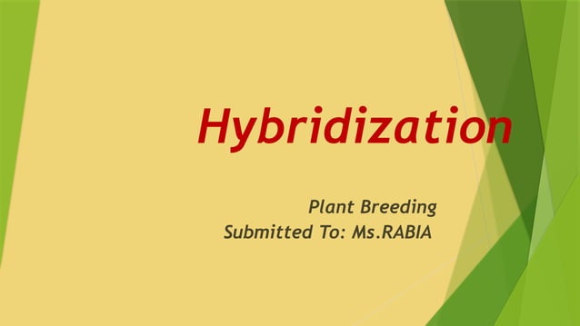 Biology hybridization ppt.pptx plant hybridization | PPTX