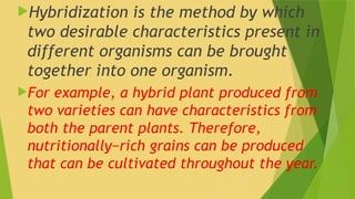 Biology hybridization ppt.pptx plant hybridization | PPTX
