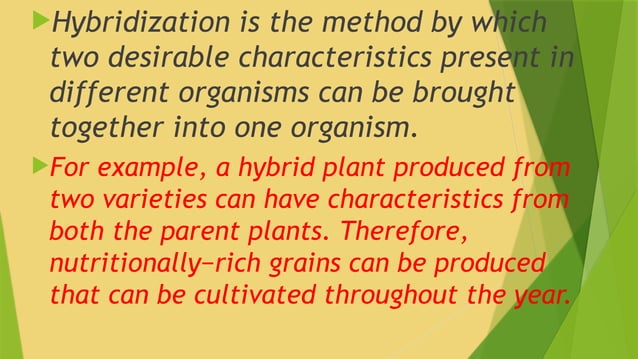 Biology hybridization ppt.pptx plant hybridization | PPTX