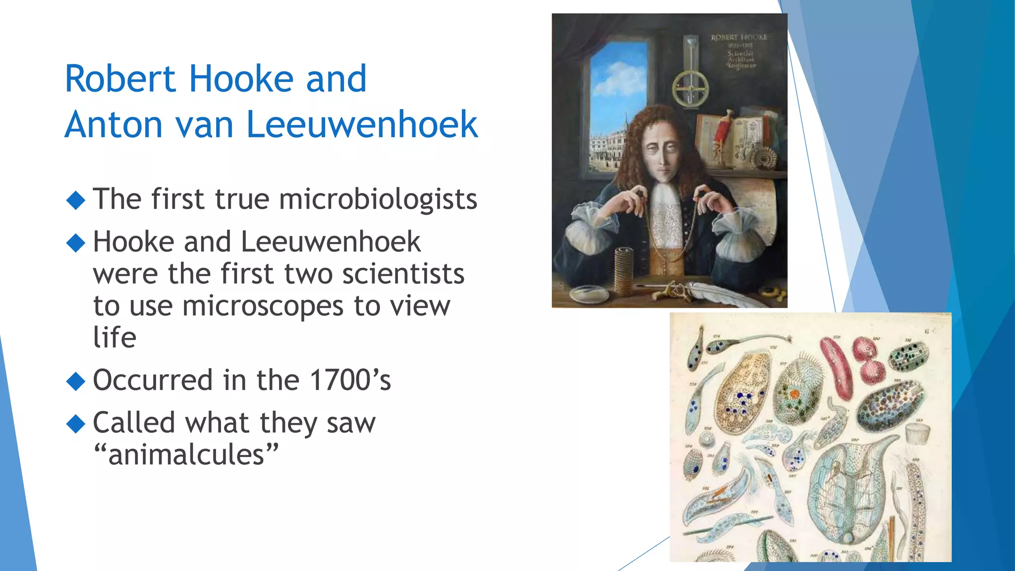 Biology chapter 7 | PPTX