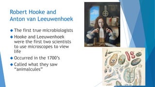 Biology chapter 7 | PPTX