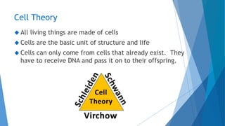Biology chapter 7 | PPTX