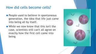 Biology chapter 7 | PPTX