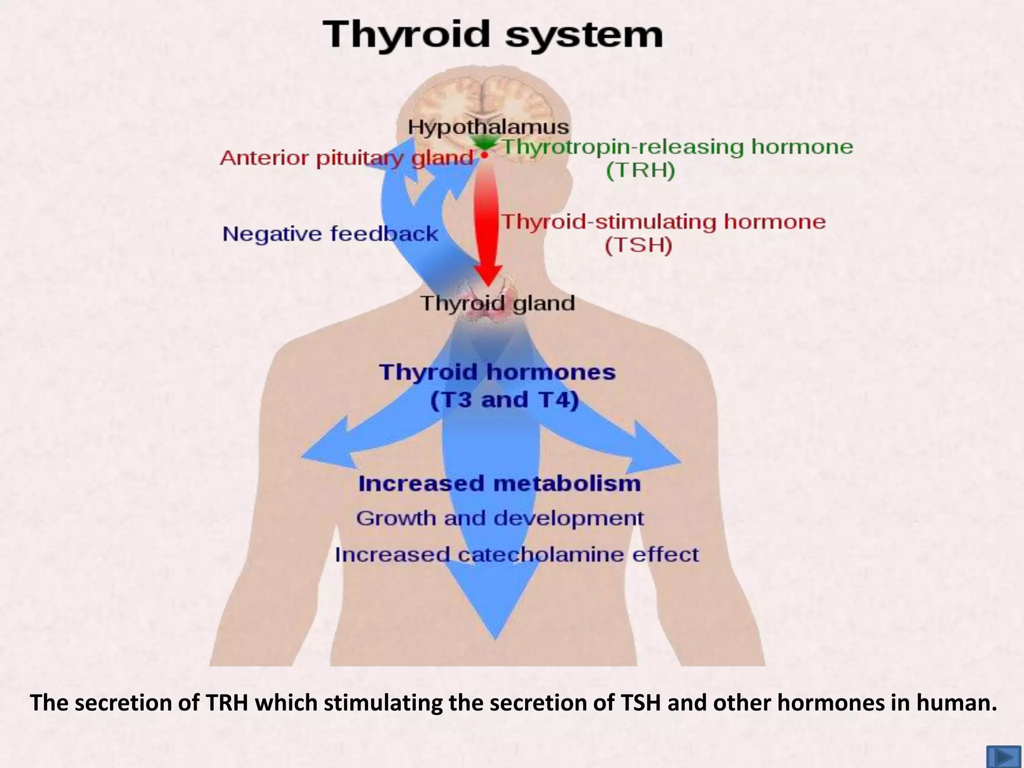 the regulation of hormone secretion | PPTX