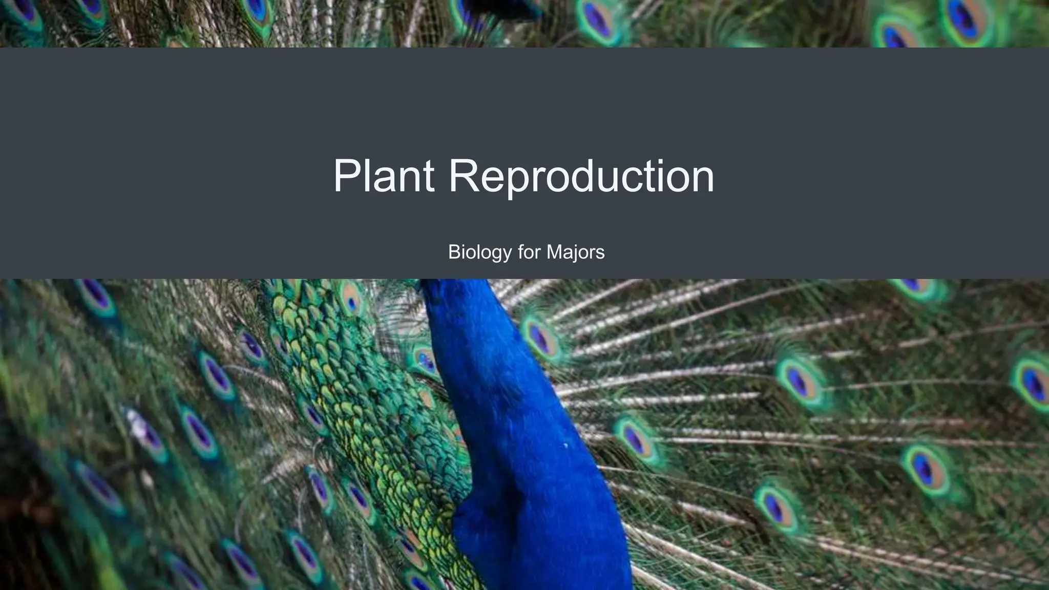 Biology_Plant_reproduction and developement | PPTX