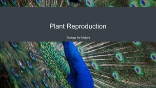 Biology_Plant_reproduction and developement | PPTX | Gardening | Home ...
