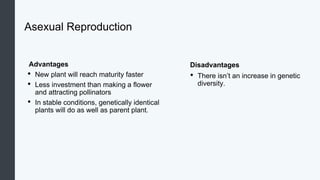 Biology_Plant_reproduction and developement | PPTX