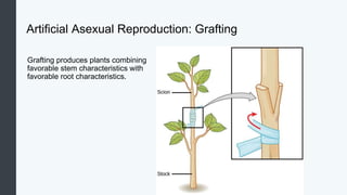 Biology_Plant_reproduction and developement | PPT