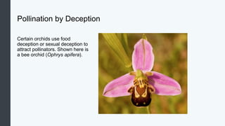 Biology_Plant_reproduction and developement | PPT