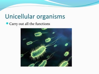Biology science of life | PPT