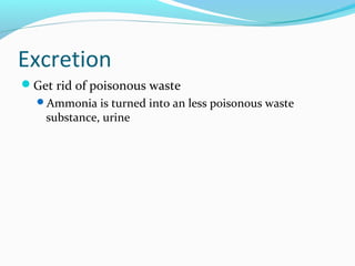 Biology science of life | PPT